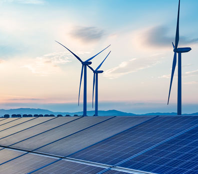 Palms Insurance | Home